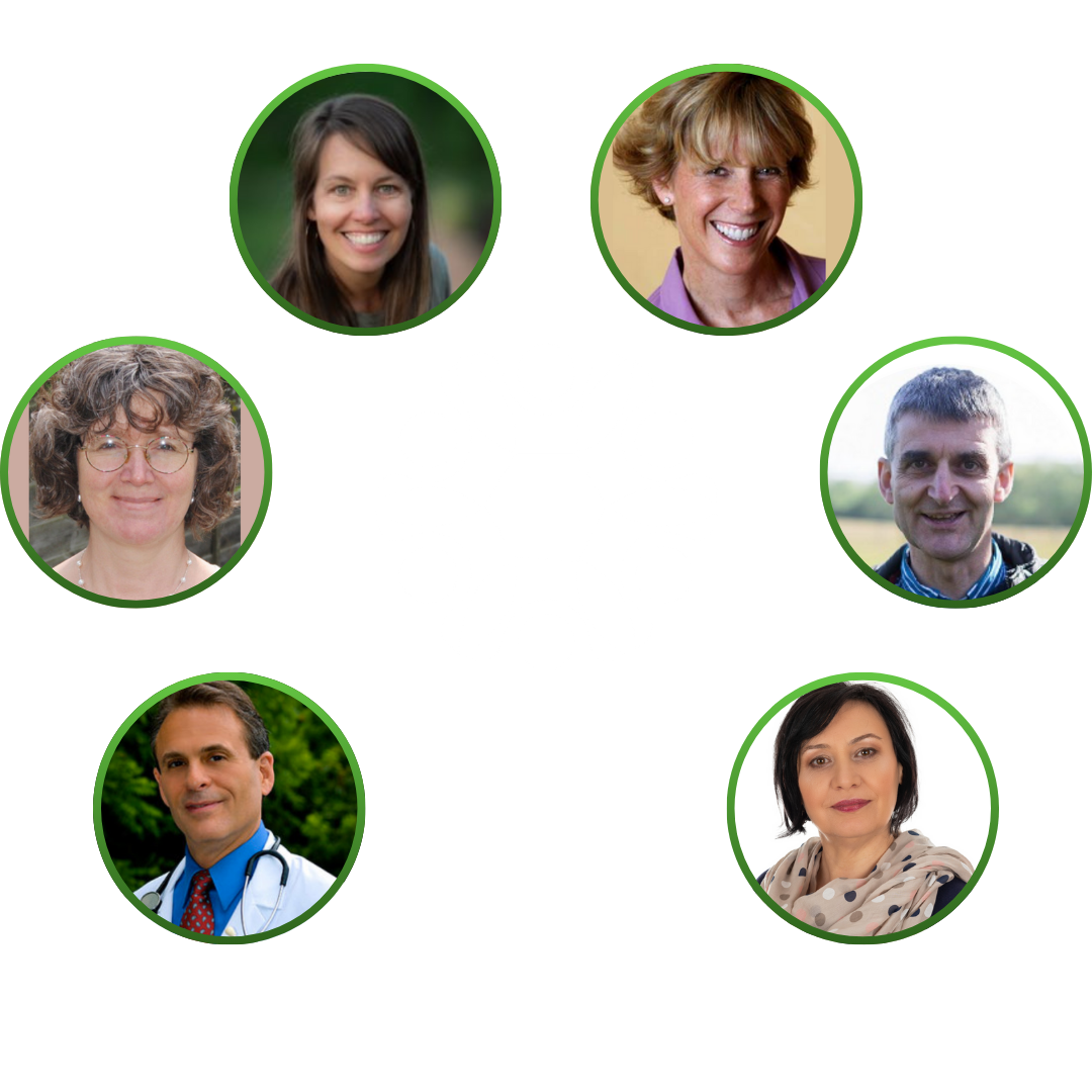 Content Delivery - Homeopathic Remedy Cheat Sheet - National Center for ...