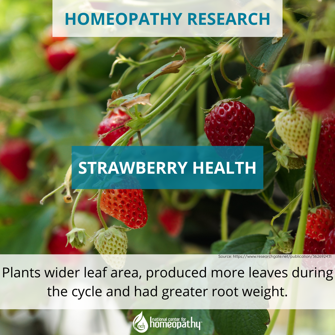 Strawberry Health - National Center for Homeopathy (NCH)